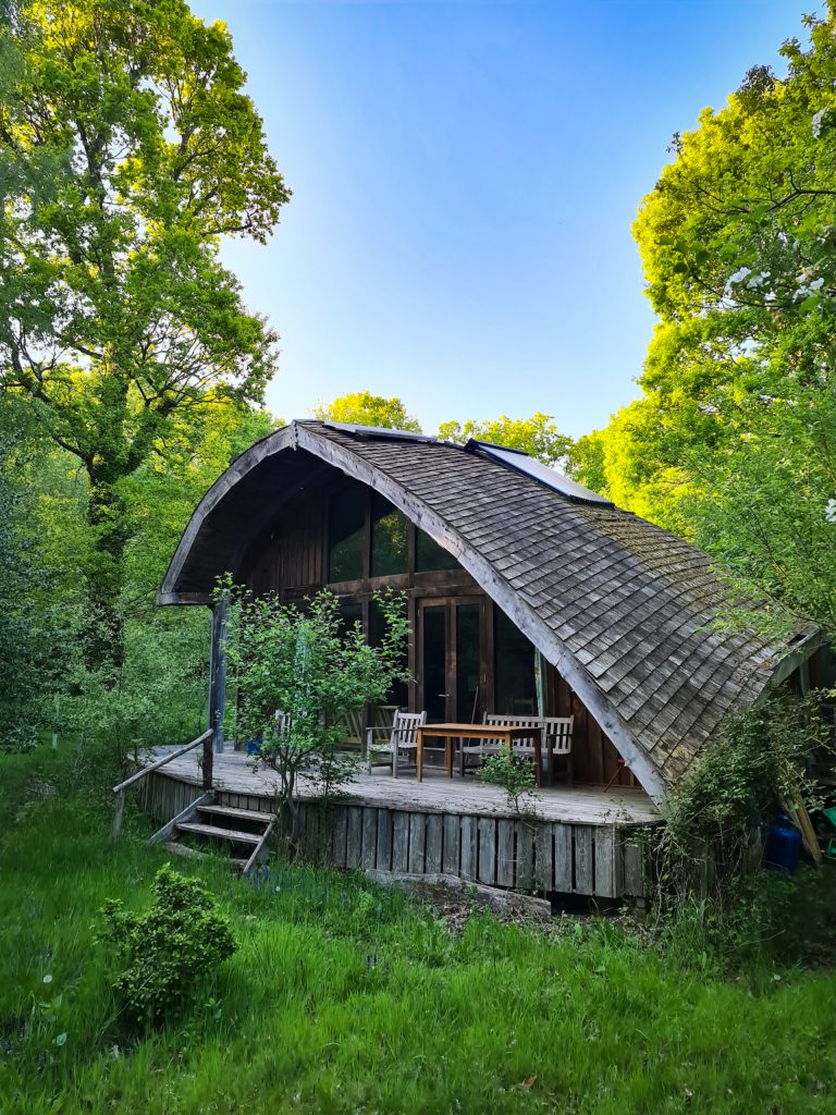 The Forest Ark - Hazel Hill Wood