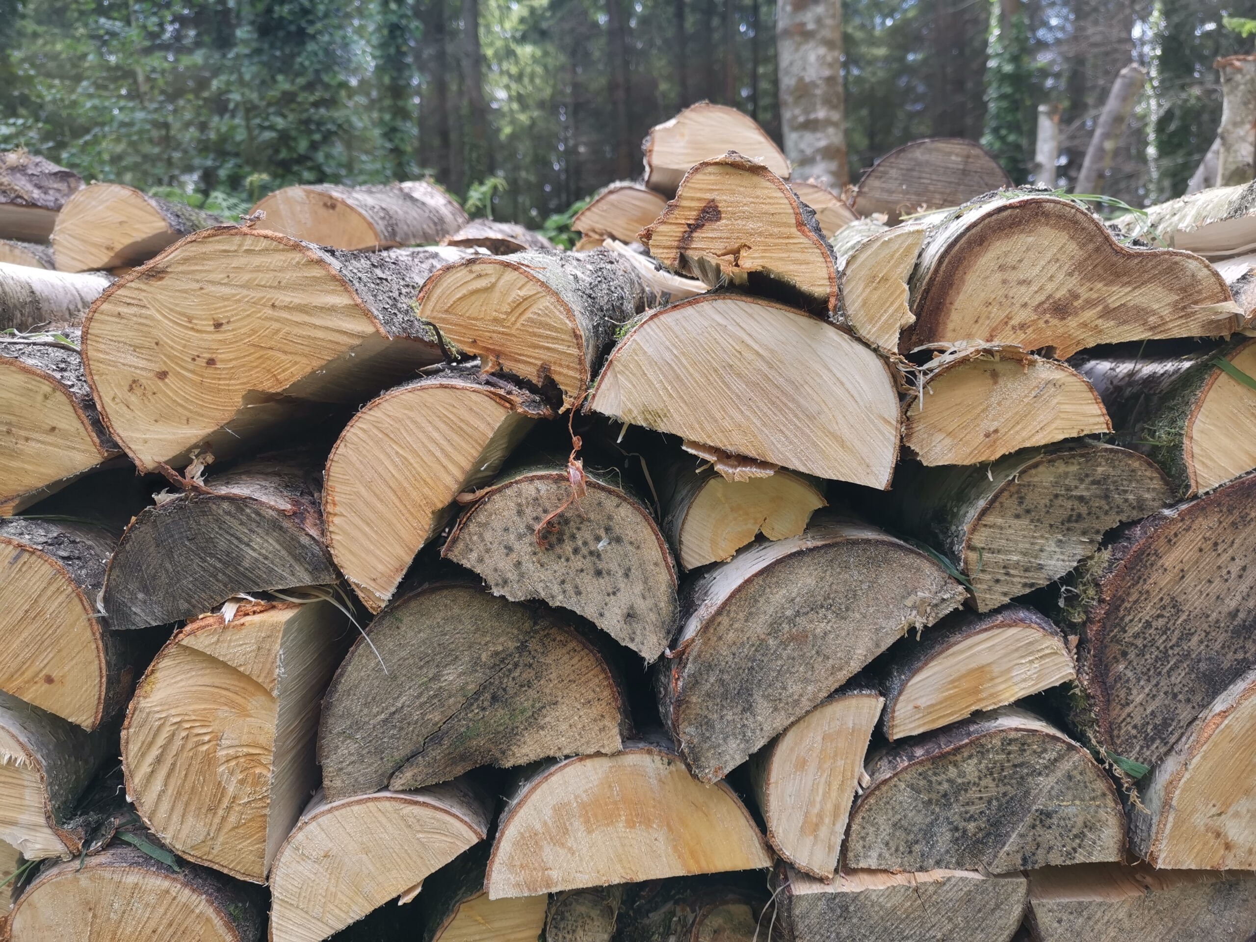 How is firewood made at Hazel Hill Wood? - Hazel Hill Wood
